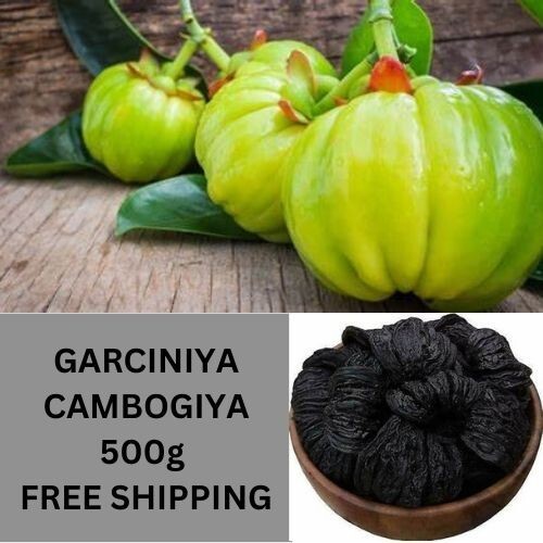 Goraka Garcinia Ceylon Dried Cambogia Organic Natural Quality Healthy ...
