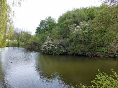 Photo A2 Motte, Pleshey Castle, Essex c2013 | eBay UK