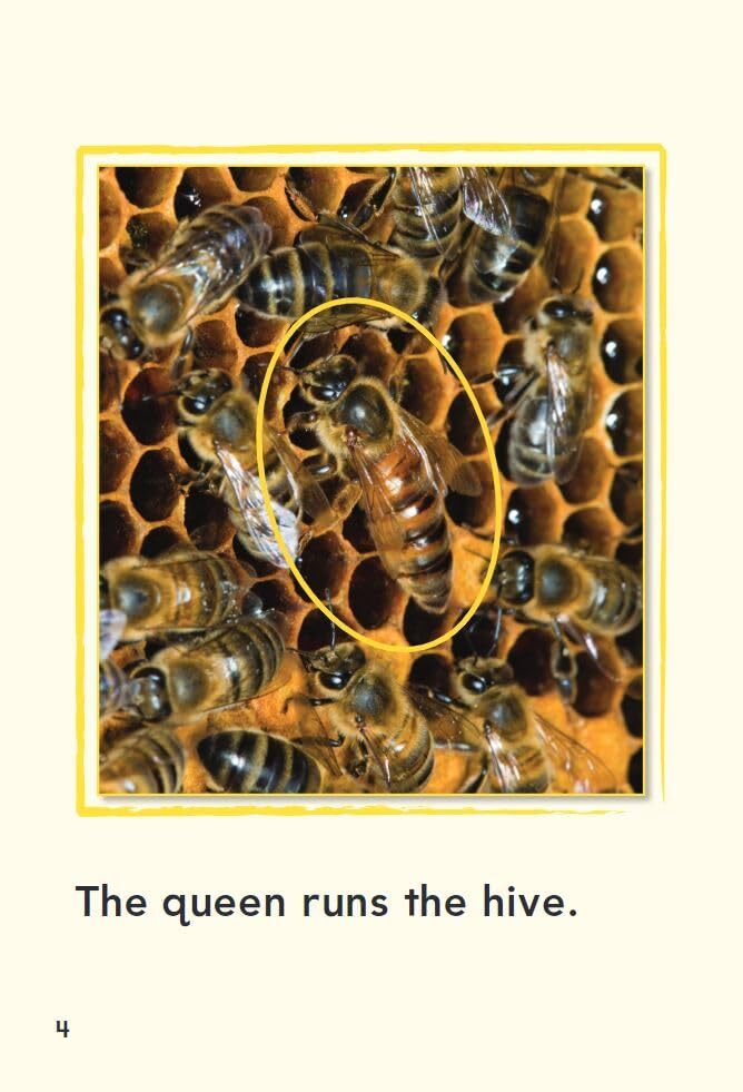 A Bee's Life (TIME FOR KIDS® Nonfiction Readers) 9781433335884 | eBay