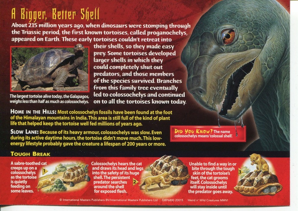 Weird N’ Wild Creatures Monster of the Past Card 24 # Colossochelys ...