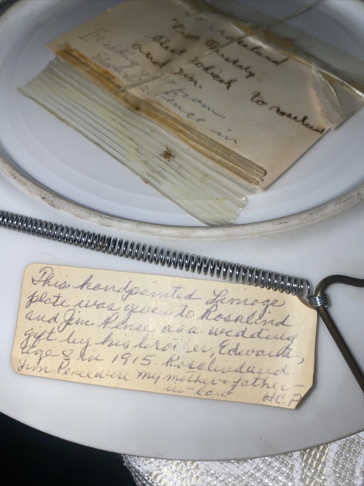 T. Luc Early Limoges Hand Painted Apples Signed Plate Wall Hanger ...