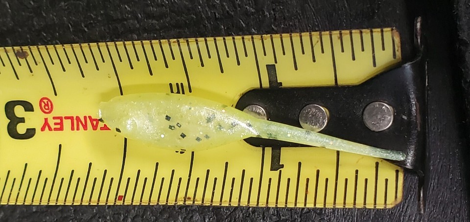 2" CRAPPIE SHAD PEARL CHARTREUSE 35 PACK GRUBS CRAPPIE LURES JIGS ...