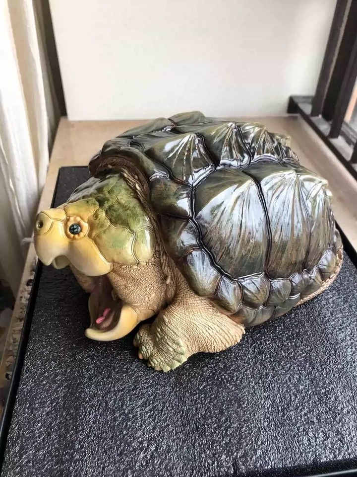 ANIMAL PLANET Animal Heavenly Body Alligator Snapping Turtle Statue ...