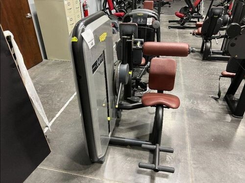 Technogym Element Lower Back Exercise Machine | eBay