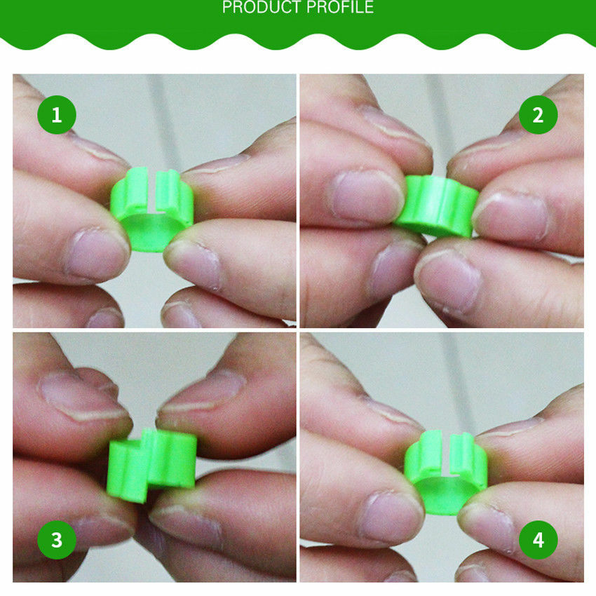 Customized Personalized Plastic Rings Poultry Leg Bands Bird Pigeon ...