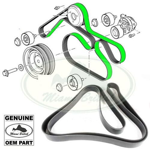 LAND ROVER BELT DIESEL 3.6L V8 RANGE 07-12 PQS500430 OEM | eBay