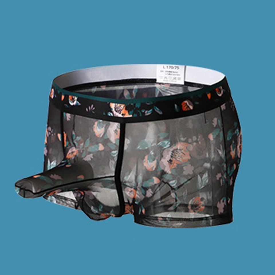 Mens Sheer Printed Boxer Trunks Ultra Thin Elephant Nose Design ...