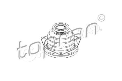 TP Drive Shaft Bellow Fits RENAULT 19 Clio Kangoo Lutecia Megane ...