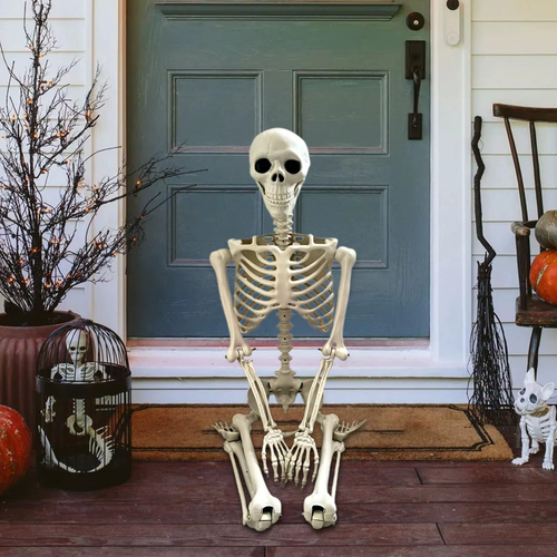 Halloween Skeleton Life Size Human Skeleton with Posable Joints Weather ...