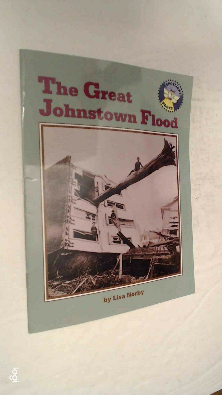 The Great Johnstown Flood by Lisa Norby. (1997, Staple Book). | eBay