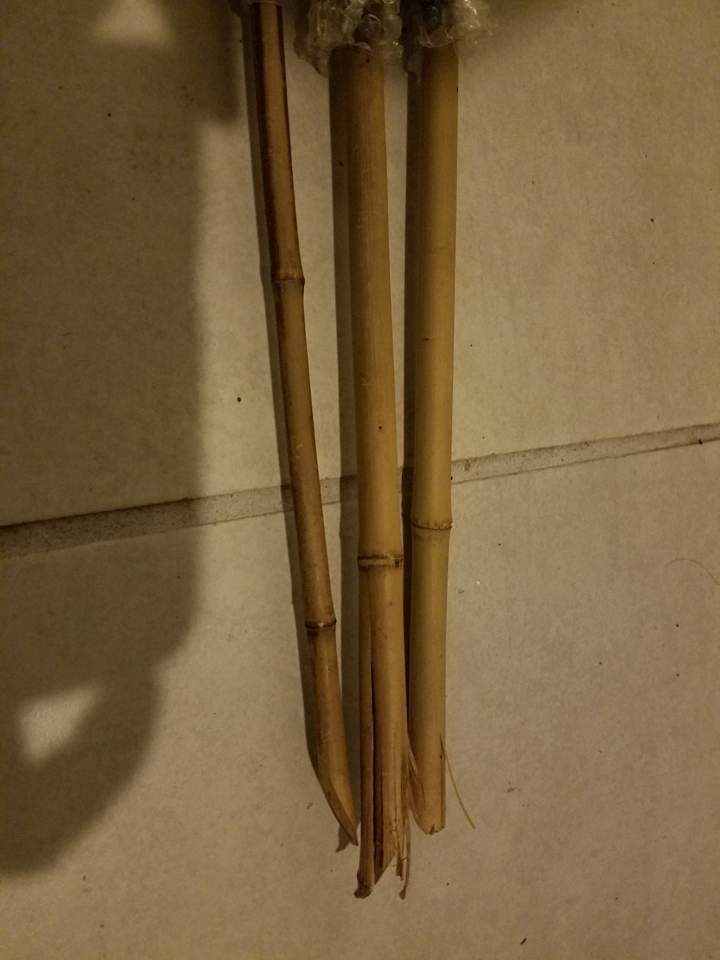 Bamboo Spike Spiral Torch Torches 29"H Set of 3 | eBay