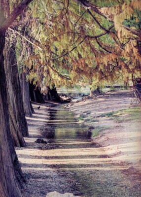 Reflection On Pond in Autumn PREMIUM POSTER FILM PRINT HIGH QUALITY ...