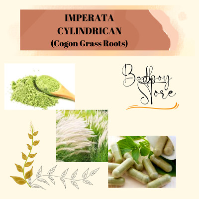 POWDER Cogon Grass Roots Imperata Cylindrican Organic | eBay