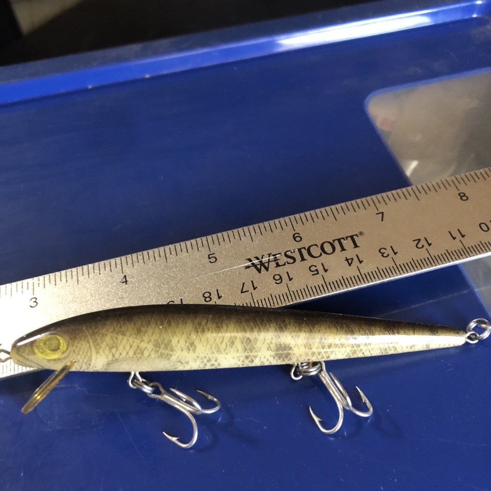 Naturalized redfin sucker Fishing Lure Rebel Minnow Floater rare color ...