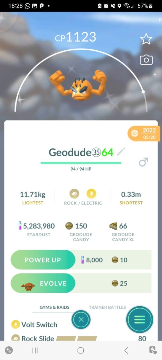Shiny Geodude Pokemon X