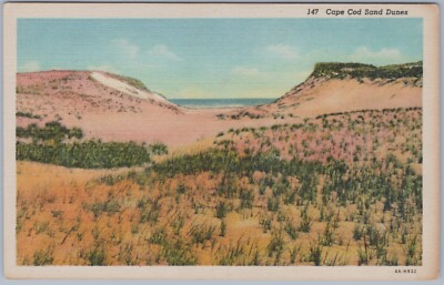 Cape Cod Sand Dunes, Massachusetts, Linen Postcard | eBay
