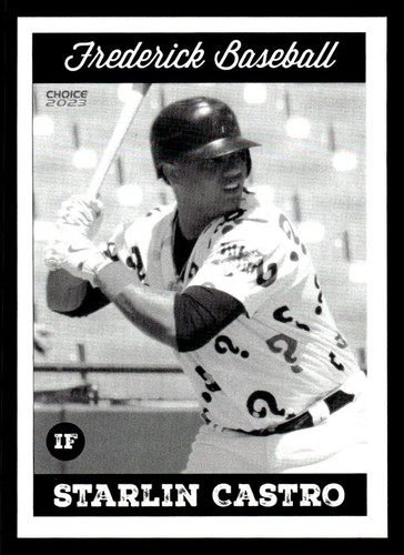 Starlin Castro 2023 Spire City Ghost Hounds Frederick | eBay