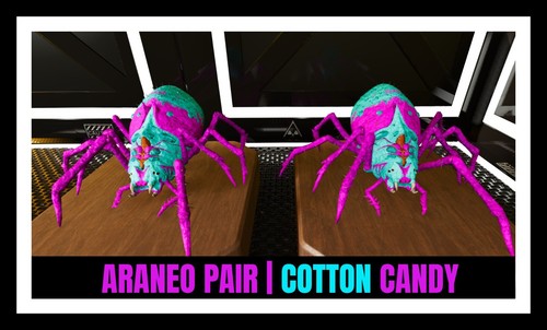 ARK Survival Ascended PvE Araneo Cotton Candy SPIDER Pair PC/XBOX/PS5 ...