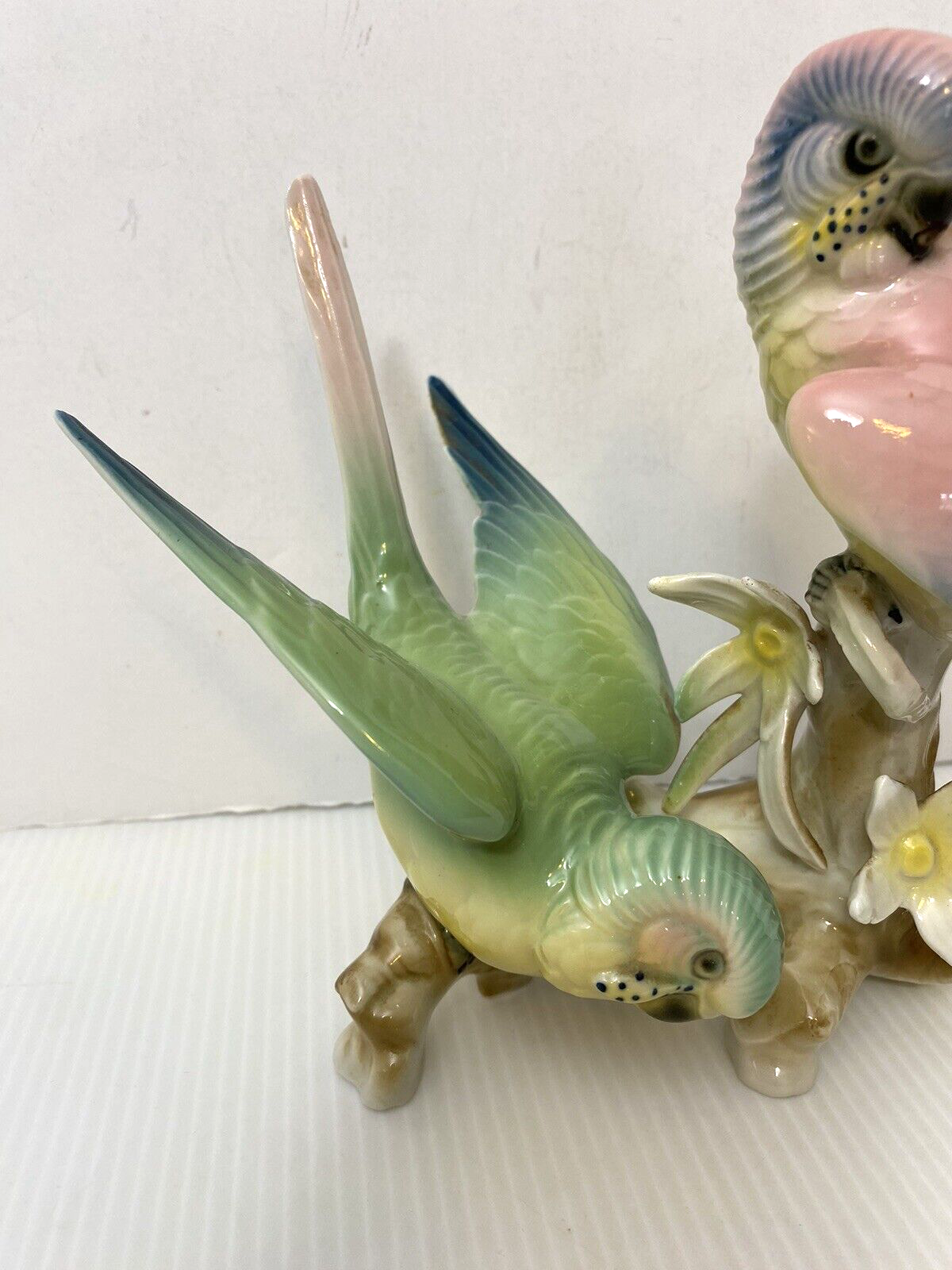 Wilhelm Rittirsch Dresden Porcelain Parakeet Parrot Bird Figurine Not ...