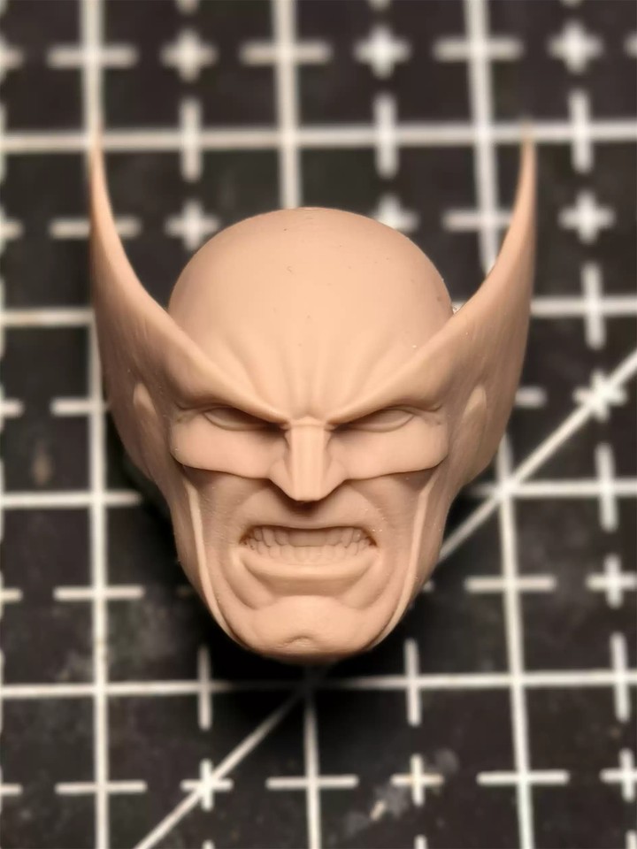 Unpainted 1/12 Scale Jim Lee Wolverine Logan Head Sculpt Fit 6'' ML ...