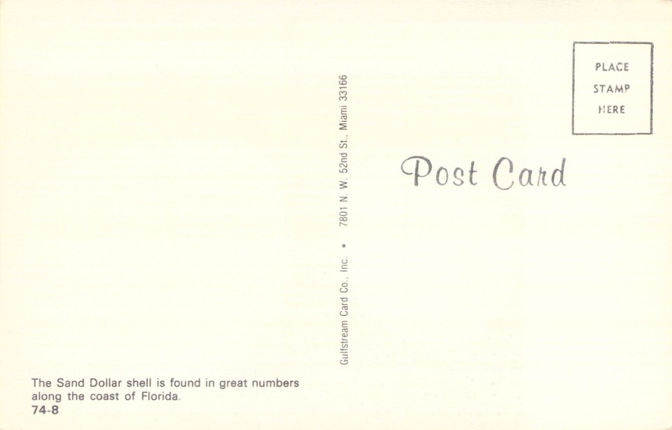 Sand Dollar Shell, The Legend of the Holy Ghost Shell VTG Postcard M12 ...