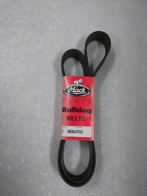 Genuine Mack Serpentine Belt-10 ribs Part# 88GB452P555 | eBay
