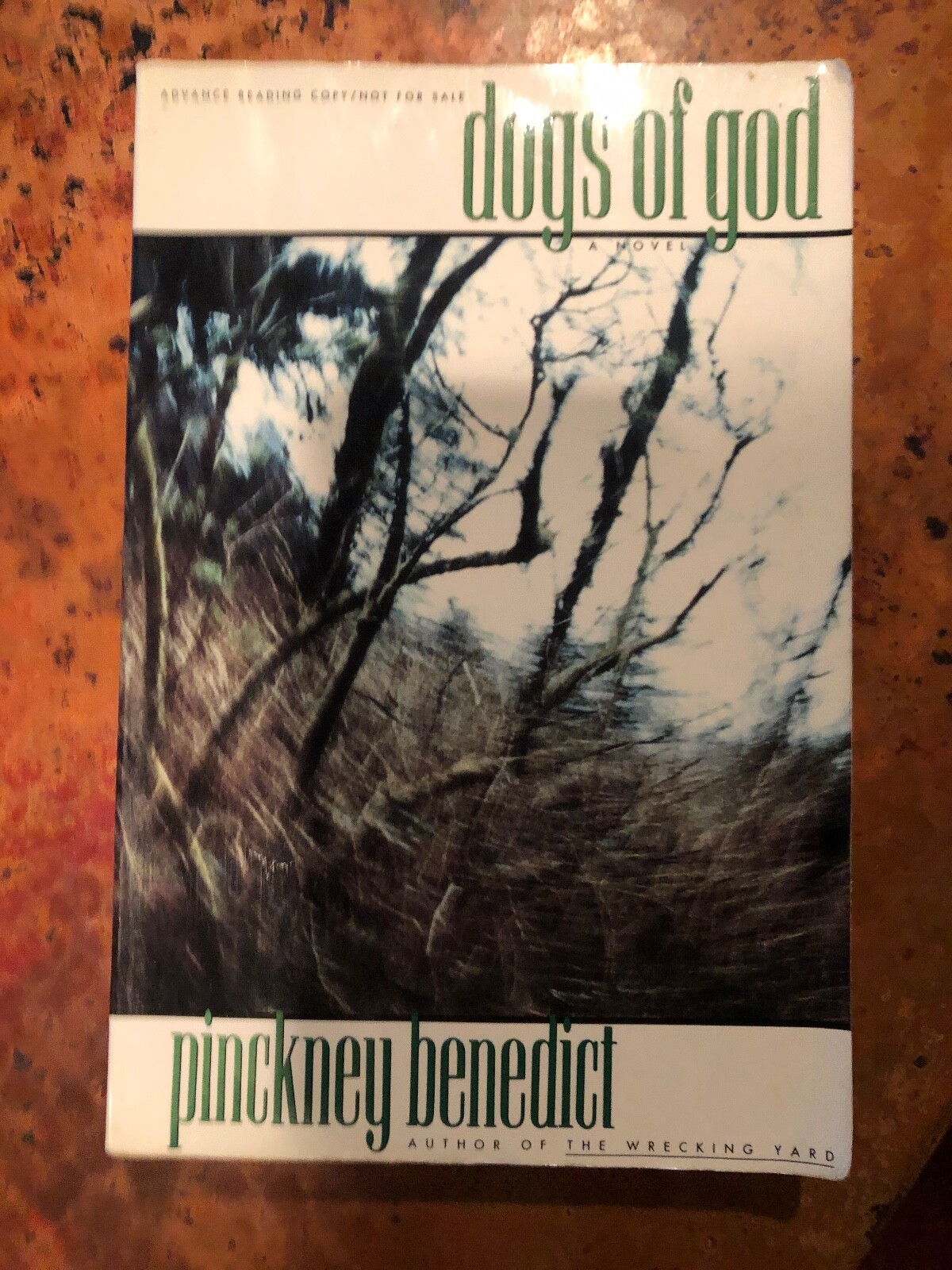Dogs of God by Benedict, Pinckney (Advance Reading Copy, 1994 ...
