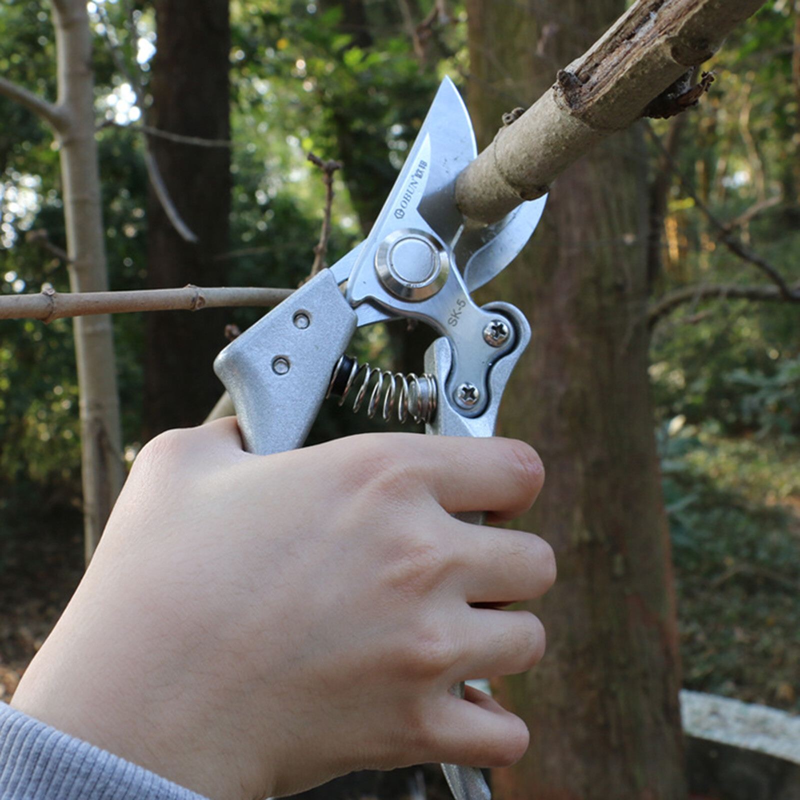 Pruning Shears Cutter SK5 Gardening Plant Scissor Secateurs Ratchet ...