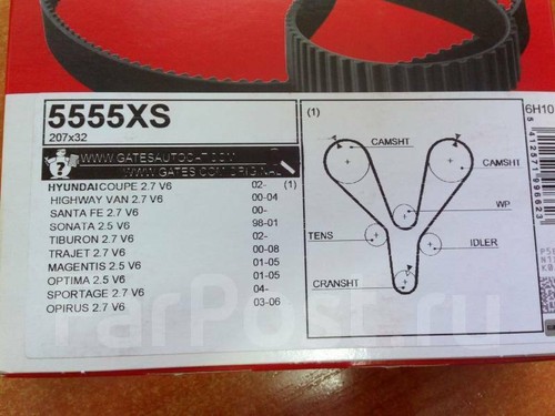 Timing Belt 5555XS Gates 2431237100 2431237400 2431237500 859715555 ...