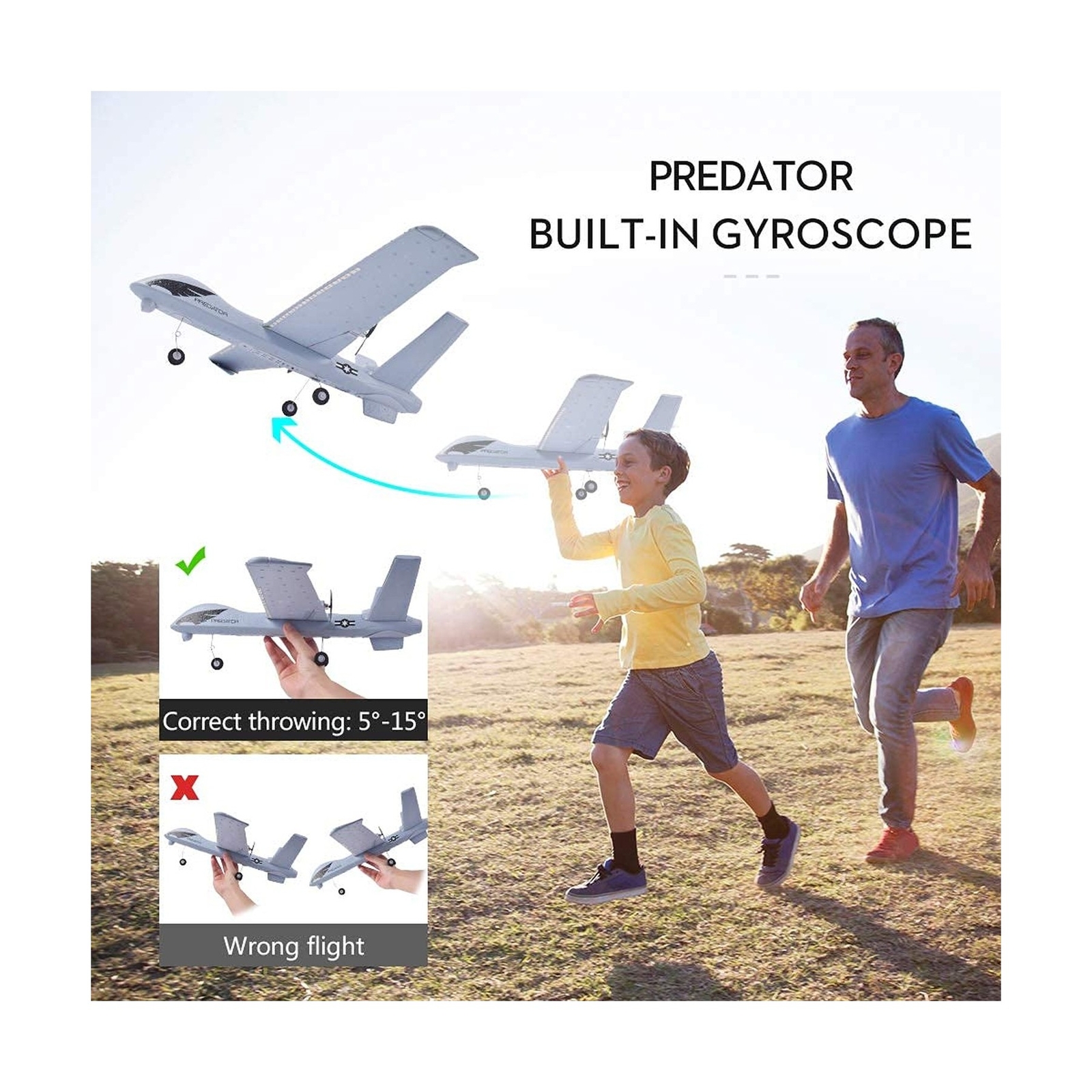 RC Plane Remote Control Airplane - 2.4Ghz 2 Channels DIY RC Predator ...