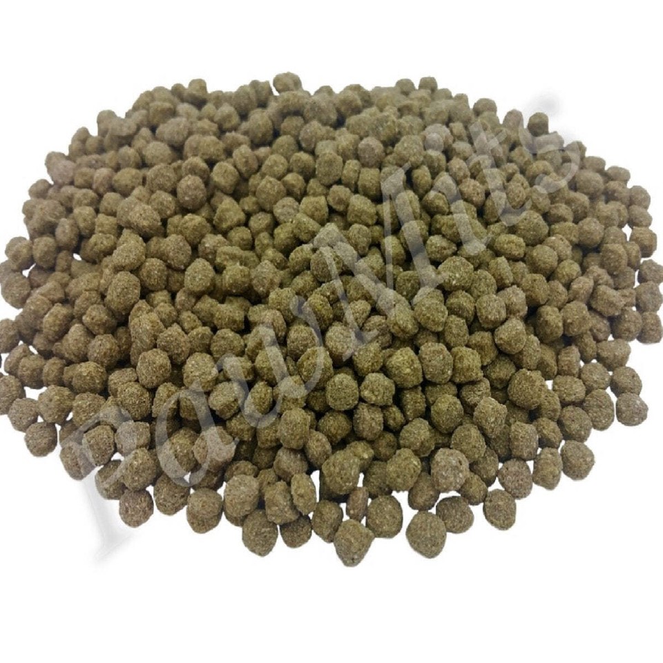 5mm POND PELLETS - (10kg) - Pettex Small Pellet Fish Food Koi Carp ...