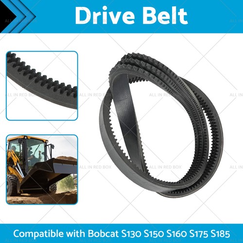 7100104 Alternator Drive Belt For Bobcat S130 S150 S160 S175 S185 S205 ...