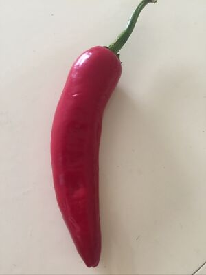 Big Long chilli Red (hot) seeds X 25 | eBay Australia