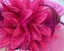 Spring Racing Race Party Melbourne Cup Feather Fascinator Headband ...
