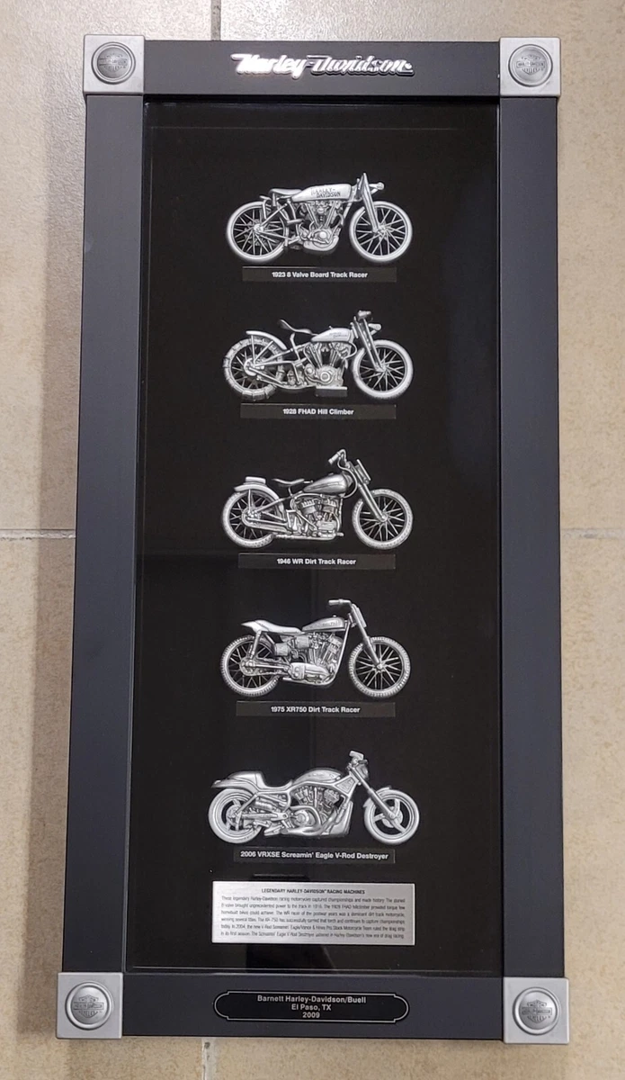 Harley Davidson Motorcycles 2009