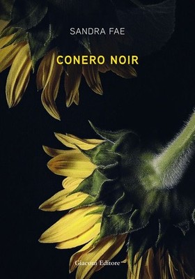 Libro - Sandra Fae - Conero Noir - Giaconi Editore | eBay