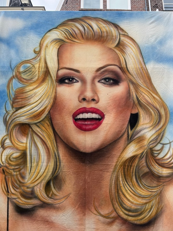 Anna Nicole Smith LARGE Graffiti Sexy Street Art Mural Pin Up Female ...