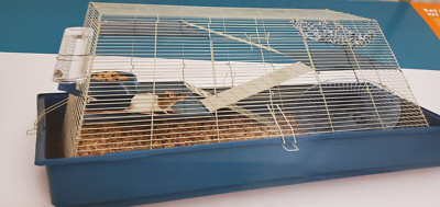 Pet Rat Start Up Dream Home Complete Starter Kit Cage Rat Carrier | eBay