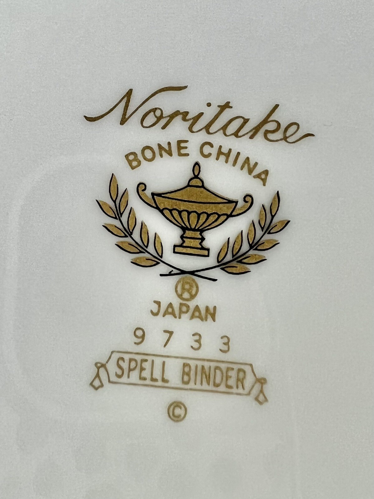 Set of 3 Noritake Spell Binder Dinner Plates 9733 EUC | eBay