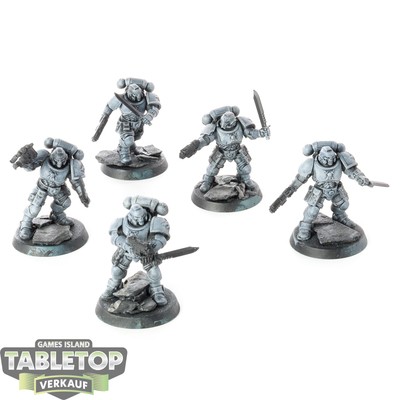 Space Wolves - 5x Primaris Reivers - teilweise bemalt | eBay.de