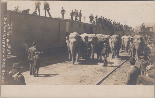 Circus Day Middletown New York NY Elephants Train Cars 1900s Still RPPC ...