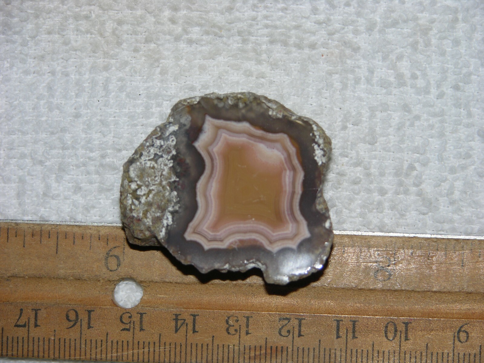 Laguna agate geode cut and polished Mexico 1 1/2 x 1 1/2 inch G189 | eBay