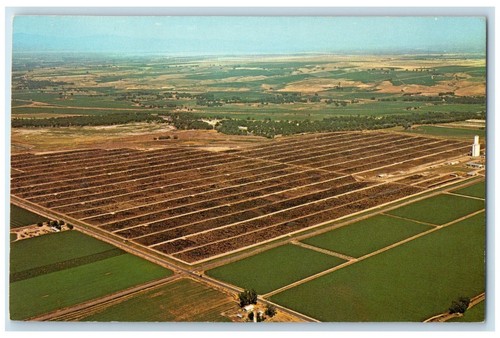 c1960 Aerial View Monfort Colorado Cattle Feeder Greeley Colorado CO ...