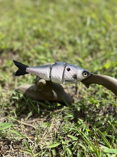 SOARDBAITS CUSTOM BASS FISHING SWIMBAIT - RESIN-2.6oz -Medium sink Rate ...