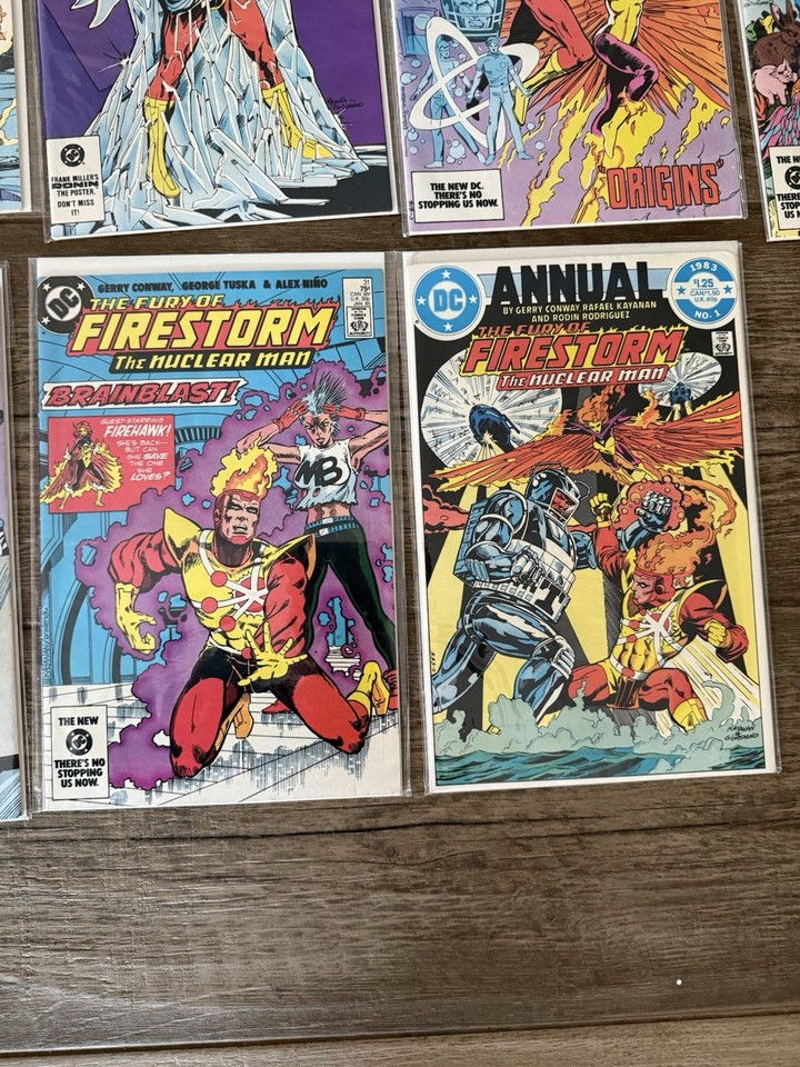 THE FURY OF FIRESTORM THE NUCLEAR MAN LOT 22 DC Comics | eBay