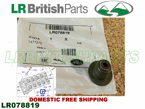 GENUINE LAND ROVER VALVE SEAT SPRING RANGE R SPORT 10-13 SPORT 14 LR4 ...