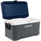 2024 Igloo MaxCold Latitude 70 QT 66 Litre Large Ice Pack Cool Box ...