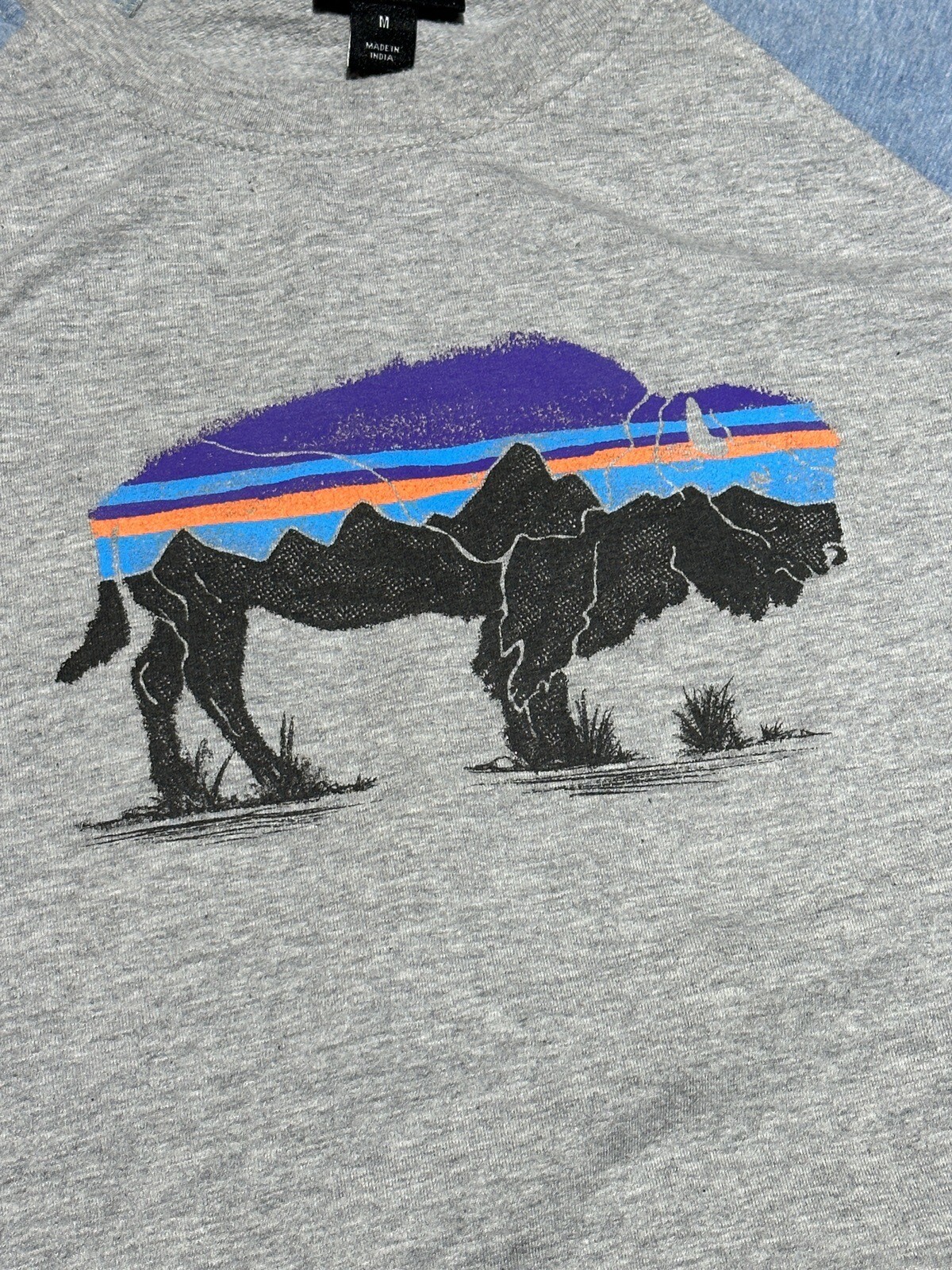 2000s Patagonia Rainbow Buffalo Logo Graphic Raglan P… - Gem