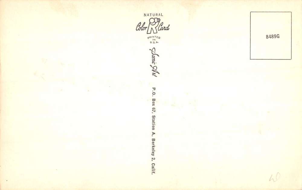 Faulkner Maryland Flower Pool Multiview Vintage Postcard K86785 | eBay