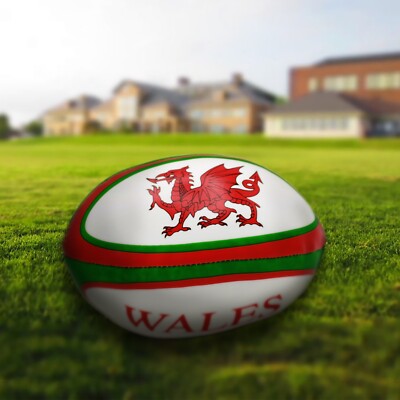Wales Welsh Soft Rugby Playballs WRU Safe Ball Practice | eBay
